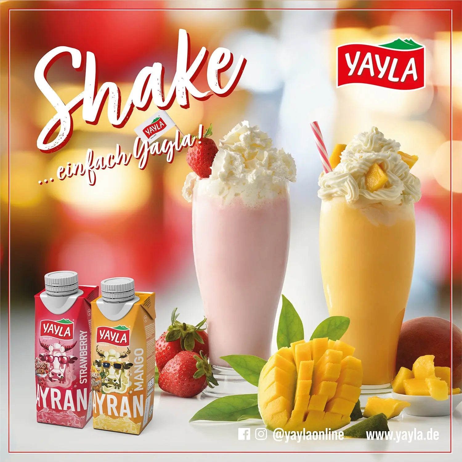 Yayla Ayran Erdbeere/ Mango Shake 1 L – Foodpaket